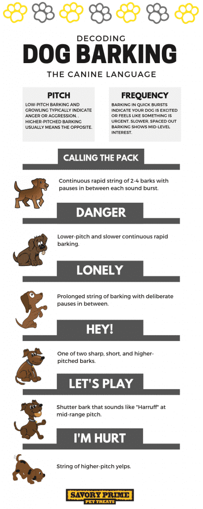 The Meaning of Your Dog’s Barks: Decoding The Canine Language - Savory Prime Pet Treats